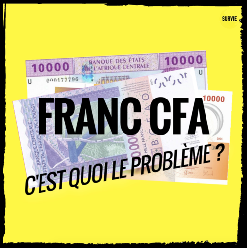 Franc CFA, c'est quoi le problème ? - Survie